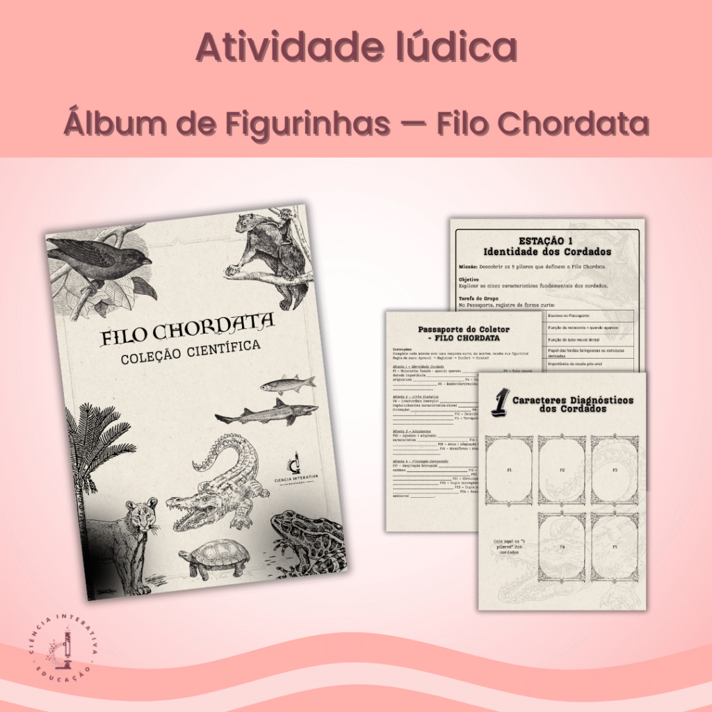 Álbum de Figurinhas — Filo Chordata – Ciência Interativa